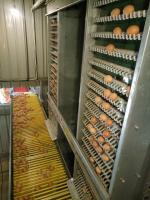 China 6 Tiers 108 Chickens Broiler Cage System For Little Chick for sale
