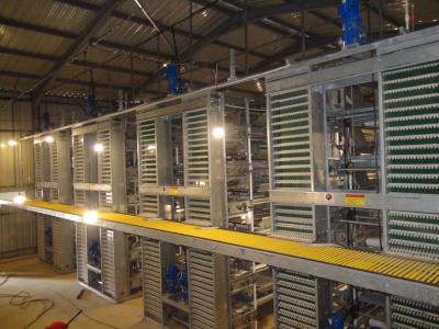 China 6 Tier 144 Bird H Type Layer Chicken Cage Q235A Hot Dipped Galvanized for Poultry Farm for sale