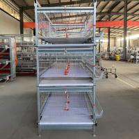 China Automatic Baby Chicks Poultry Drinking System - 3/4 Tier Cage with 500 cm² Bird Space for sale