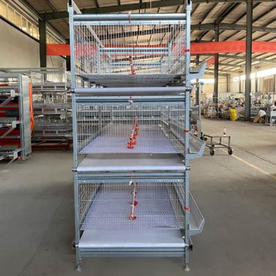 China H Type Broiler Cage with Poultry Drinking System - 3/4 Tier Design, 100×150×49 cm Cells, 15+ Year Durability for sale