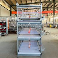 China 1500x1000mm Broiler Cage Poultry Drinking System - 3/4 Tier, 90-120 Bird Capacity, 500cm² Space per Bird for sale