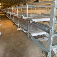 China H-Type Automated Broiler Cage System for Commercial Poultry Farms for sale