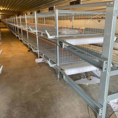 China Automatic Broiler Cage System with Poultry Drinking Equipment - 3-Tier & 4-Tier Options, 100×150×49 cm Cells for sale
