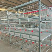 China H Type Broiler Chicken Cage 150 Birds Capacity Poultry Farming Equipment for sale