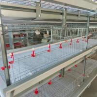 China Full Automatic Hot Dipped Broiler Chicken Cage H Type for sale