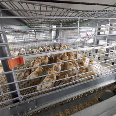China Hot Dip Galvanized Poultry Cage for Baby Chickens 3-9 Tiers 162-540 Capacity for sale