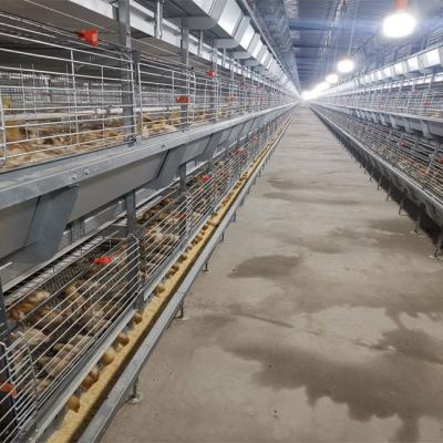 China Hot Dip Galvanized Baby Chick Broiler Cage 3-8 Tiers 144-384 Birds Poultry Equipment for sale