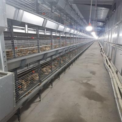 China H Type Battery Broiler Chicken Cage 3 to 8 Tiers Automatic Poultry Drinking System for sale