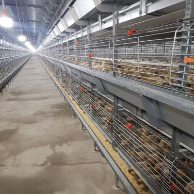 China 6 Layers Baby Chick Brooder Cage H Type Chicken Brooder Growing Cage for sale