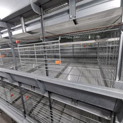 China H-Type Broiler Chicken Cage System - 3 to 8 Tier Configurations with 312.5 cm² Bird Space for sale