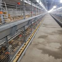China 4-Tier Broiler Chicken Cage System with 136 Bird Capacity - 85×62.5×50cm Cells & 15+ Year Lifespan for sale