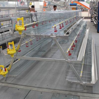 China H Type Broiler Chicken Cage 85x62.5x50 cm Hot Dip Galvanized Steel 3 to 8 Tiers for sale