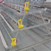 China Long Time A Type Farm Chicken Battery Cages For Layers Double Cold Galvanized for sale