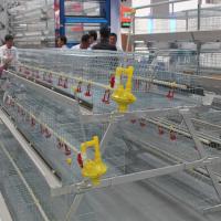 China Hot Dip Galvanized Broiler Chicken Cage 200-300 Chickens / Set for sale