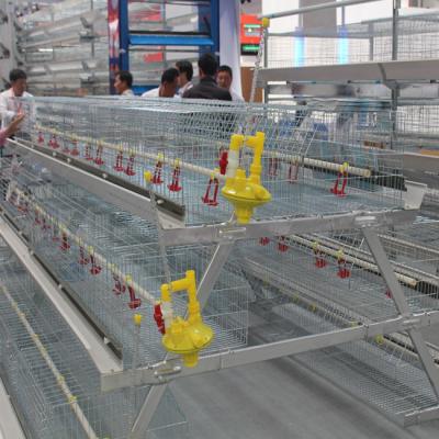 China Hot Dip Galvanized Broiler Chicken Cage 200-300 Chickens / Set for sale