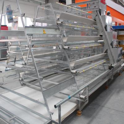 China Full Automatic Poultry Cage For Layers A Type 3 Tiers for sale