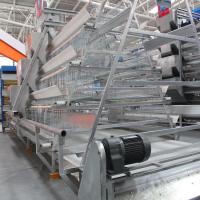 China Full Automatic Poultry Cage For Layers A Type 3 Tiers for sale