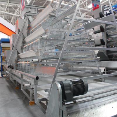 China 160 birds / set Battery Layer Poultry Farm Cage A frame for sale