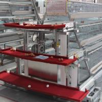 China 128 Birds A Type Layer Chicken Cage Installation Provide for sale