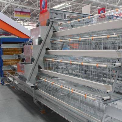 China 128 Birds A Type Layer Chicken Cage Installation Provide for sale