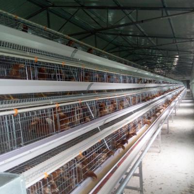China A Type Silver Color Galvanized Cages For Chicken three tiers for sale