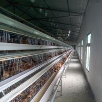 China 90 Birds A Frame Layer Cages Chicken Poultry Laying Hens Equipment for sale