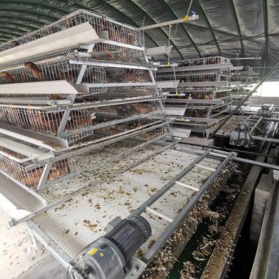China Hot Dip Galvanized Layer Cage System 4 Tier 72 Chickens Poultry Farming Equipment for sale