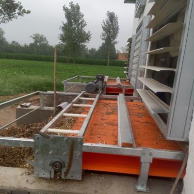 China A Type Automatic Layer Poultry Cage Galvanized Steel Wire Mesh 120 Birds 3 Tiers for sale