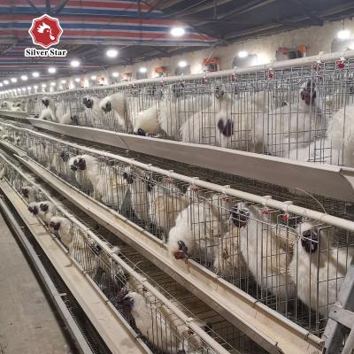 China 2000 Birds A Frame Layer Cages Layer Poultry Equipment SGS Approved for sale