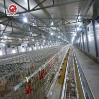 China Automatic Baby Chick Broiler Cage 3-8 Tiers Hot Galvanized Poultry Farming Equipment for sale