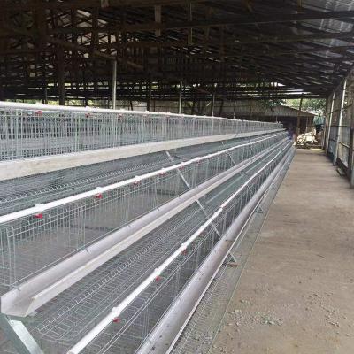 China 3-Tier Hot Galvanized A-Frame Chicken Cage System for 5000-10000 Birds with 215×230×150cm Dimensions for sale