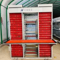 China 90 Layer Chicekns HDG Battery Layer Chicken Cage System H for sale