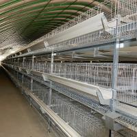 China Layer Chicken Poultry Cage Cold Galvanized Steel Wire Mesh for sale