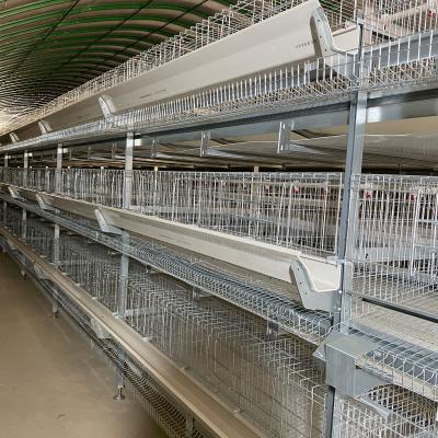 China 90 Layer Chicekns HDG Battery Layer Chicken Cage System H for sale