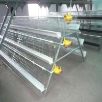 China 120 Birds Capacity Poultry Battery Chicken Eggs Cage New Design for sale