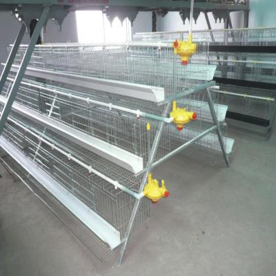 China 120 Birds Capacity Poultry Battery Chicken Eggs Cage New Design for sale
