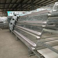 China 3 Tiers Metal Poultry Cage Automatic Manure Cleaning System for sale