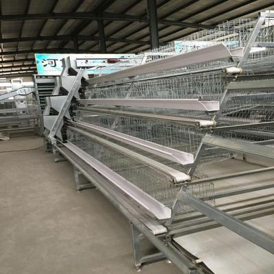 China Chicken Farm Use Poultry Cage A Type Big Size 96 birds / set for sale