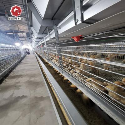 China 65 X 62.5 CM Big Size Battery Layer Chicken Cage H Type for sale