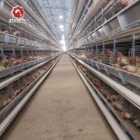 China 65 X 62.5 CM Big Size Battery Layer Chicken Cage H Type for sale