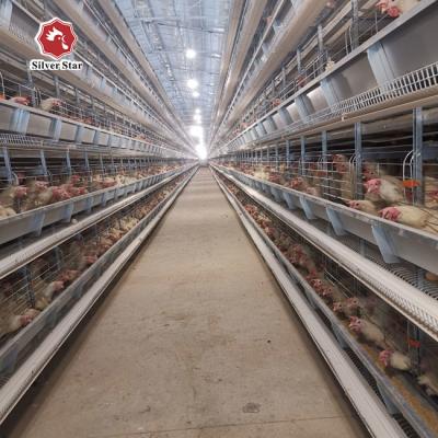 China H Type Galvanized Layer Chicken Cage 9 Birds per Cell 65x62.5x50cm for sale