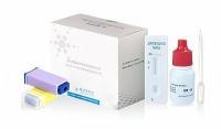 China SARS-COV-2 Neutralizing Antibody Rapid Test Kit Blood Rapid Antibody Test Kit for sale
