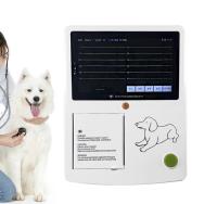 China Medical Hospital Digital Touch Screen 3 Channel 12 Lead ECG EKG Machine For Vet for sale