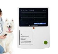 China Veterinary 12 Lead Ekg Electrocardiogram Ecg Machine 3 Channel Printer PC Software for sale