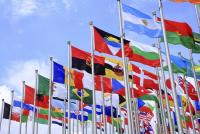 China Wonderful All World Countries Flags 3X5FT 100 Polyester Material for sale