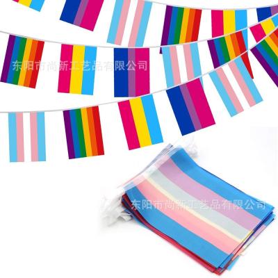 China Custom Logo Polyester LGBT Flag Lesbian Gay Pride Triangle Flag for sale
