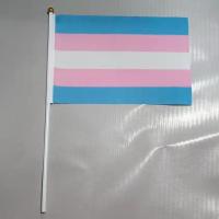 China Customize Size Hand Held Pride Flag 14cmx21cm With Plastic Pole for sale