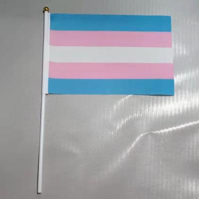 China Customize Size Hand Held Pride Flag 14cmx21cm With Plastic Pole for sale