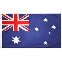 China Pantone Polyester World Flags Hanging Style Romania Country Flag for sale