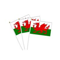 China Custom Outdoor Country Mini Flags Hand Held Polyester Fabric Soft And Washable for sale